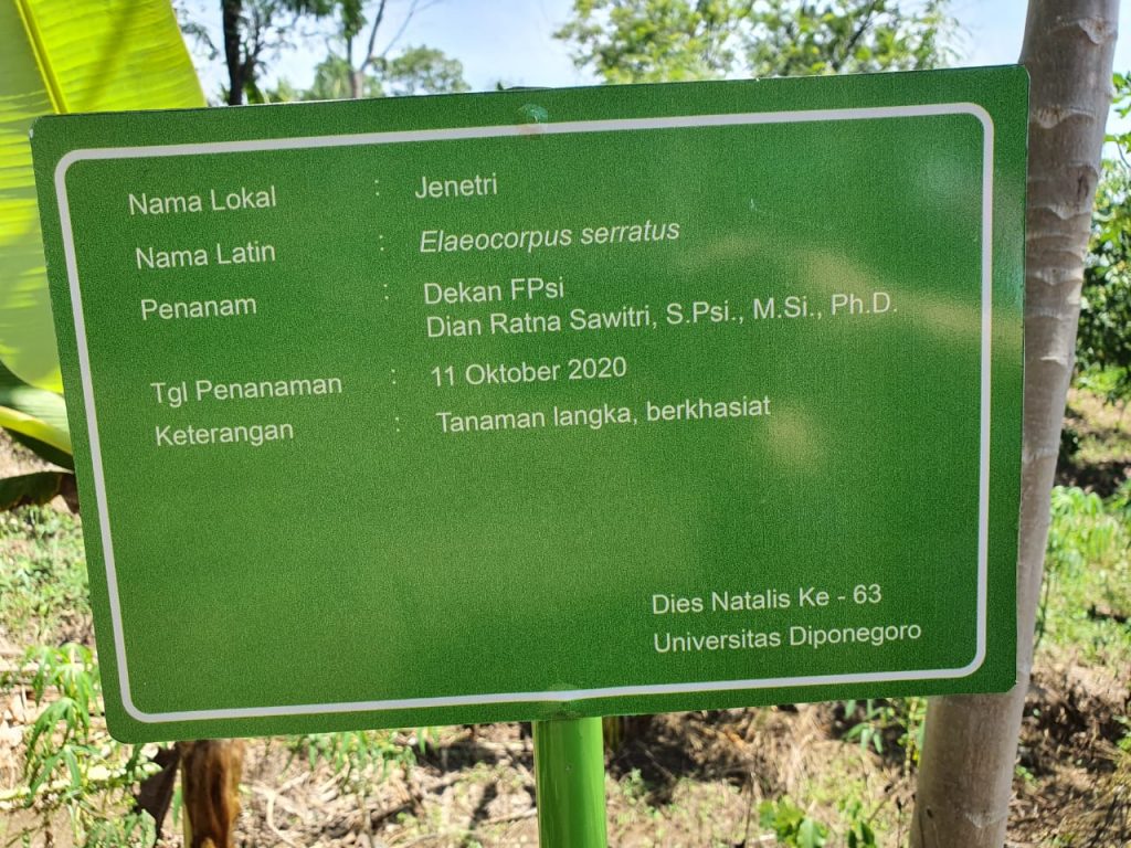 Soft Opening KHDTK Hutan Penggaron – Psikologi Undip